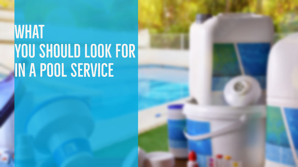What You Should Look For In A Pool Service